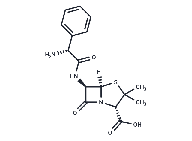 Ampicillin | Aminobenzylpenicillin | β-lactam antibiotic | TargetMol