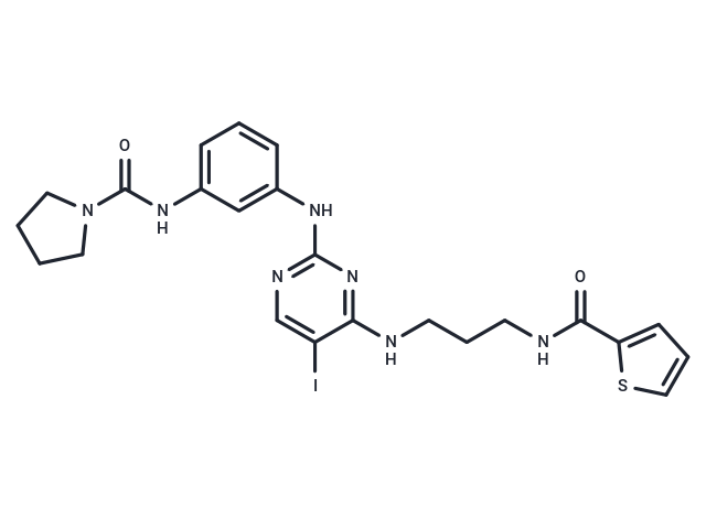 BX795 | Chk | CDK | c-Kit | PDK | Autophagy | IκB/IKK | TargetMol