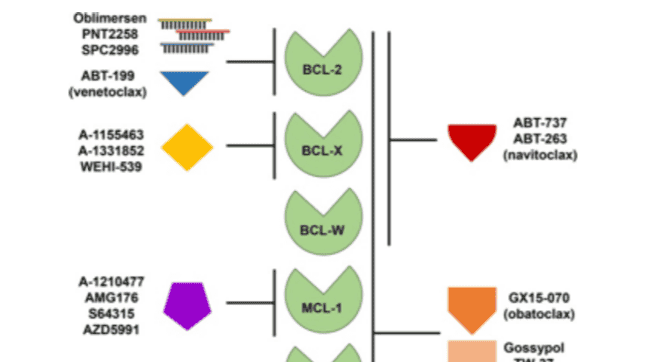 Compound Libraries | Inhibitors | Virtual Screening - TargetMol