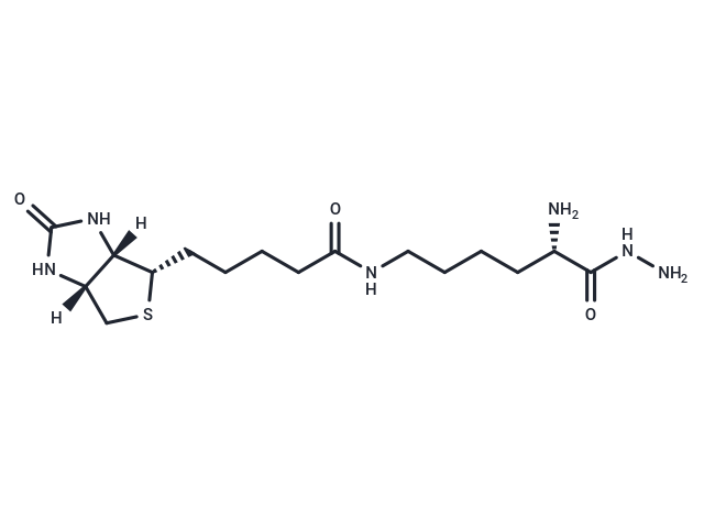 Biocytin hydrazide | TargetMol