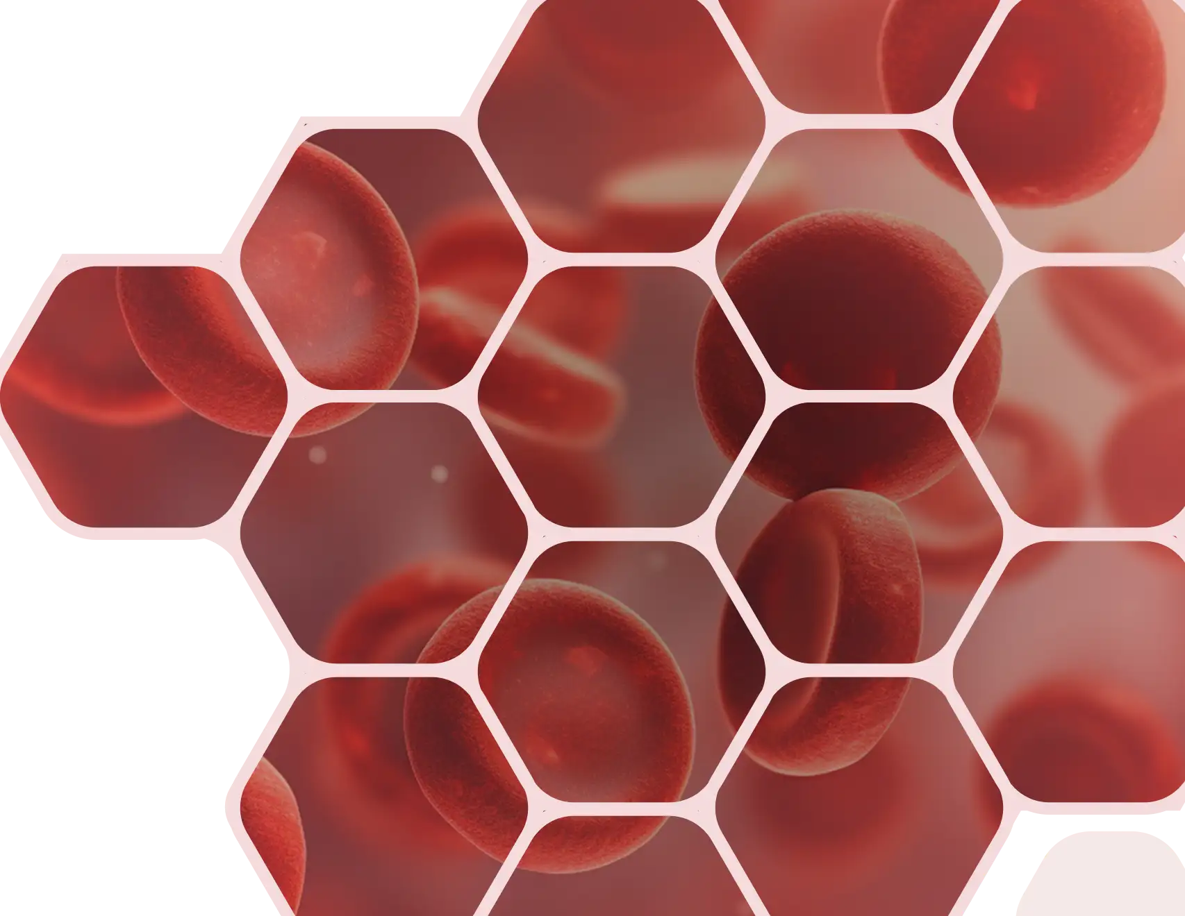 Compound Libraries | Inhibitors | Virtual Screening - TargetMol