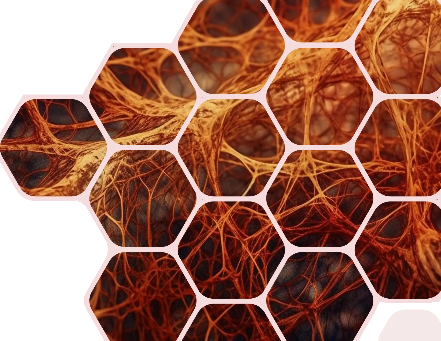 Compound Libraries | Inhibitors | Virtual Screening - TargetMol